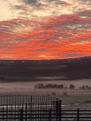 Luxury, Dog-Friendly Cottages in Scotland's Highlands